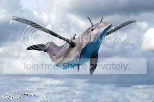 FARK.com: (3159358) Dolphins used to look like humans and lived in Atlantis