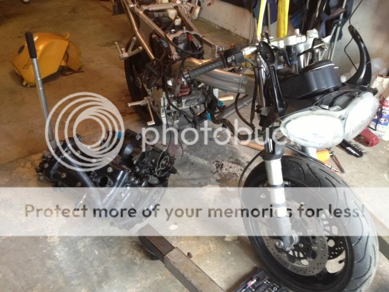 '01 Engine in '97 T595 | Triumph Rat Motorcycle Forums