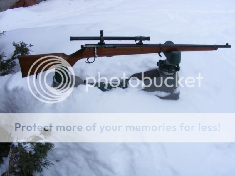 Savage Model 5 | Rimfire Central Firearm Forum