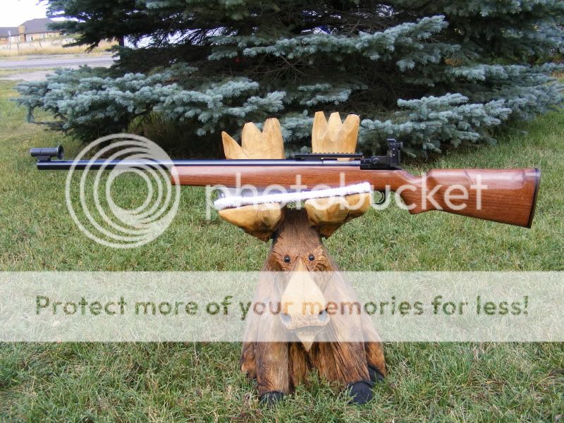 H&R M12 Eye Candy | Rimfire Central Firearm Forum